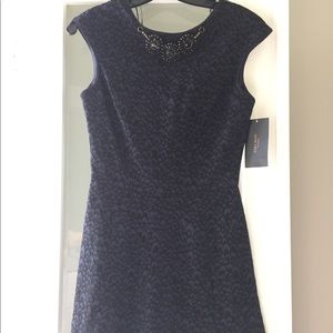 Zara | Other | Zara Navy And Black Dress | Poshmark